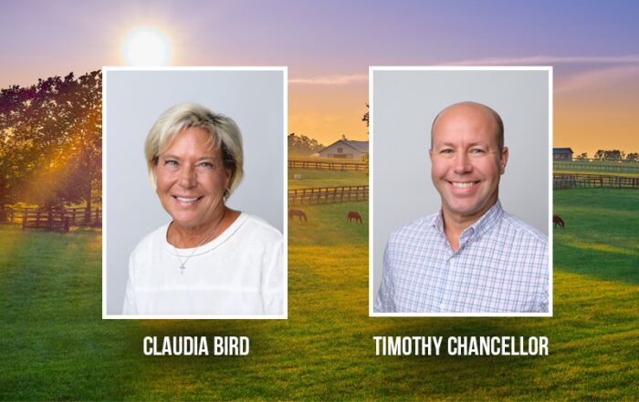 Join the Team - Cool Insurance Group